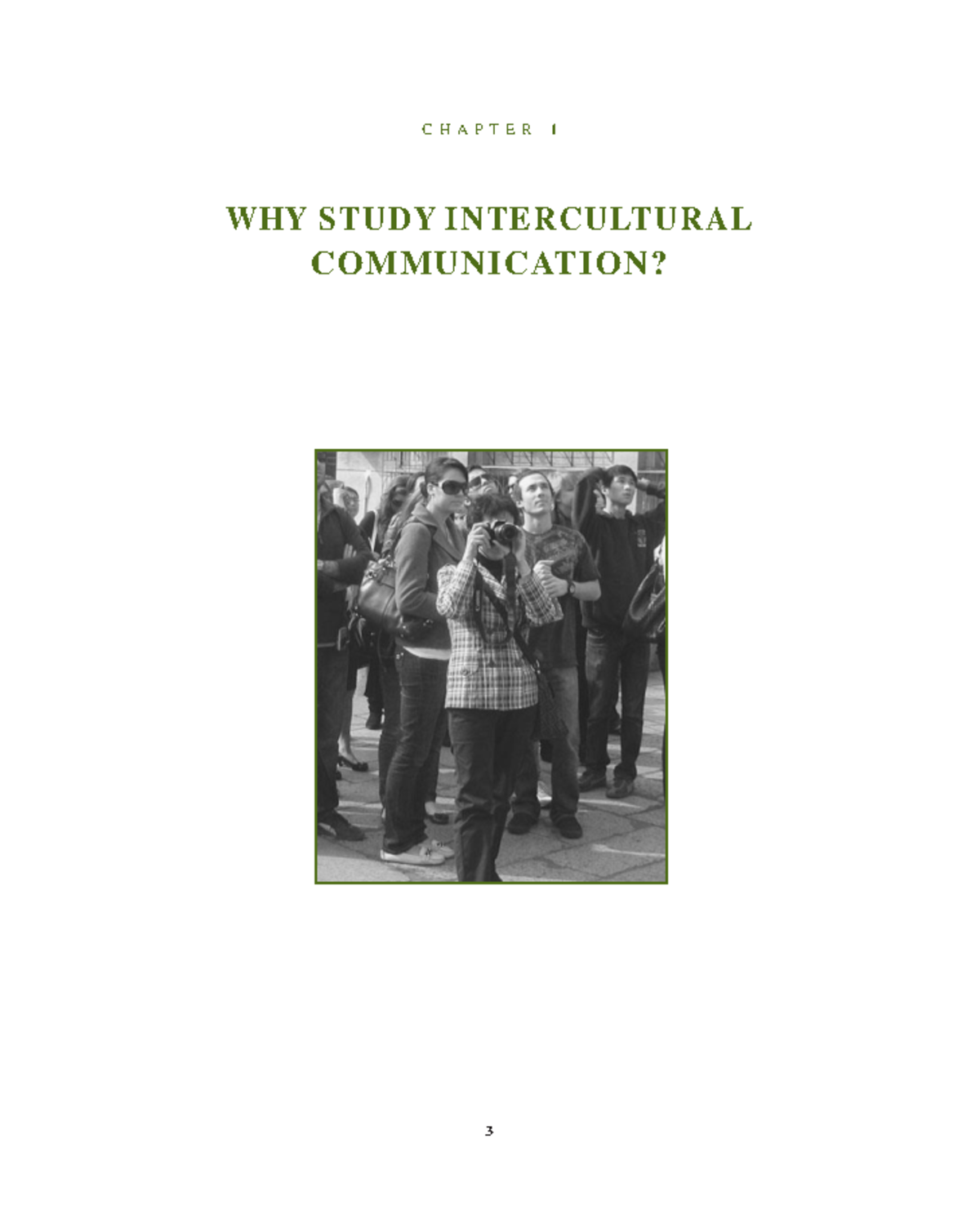 Understanding Intercultural Communication Chapter 1 - C H A P T E R 1 ...