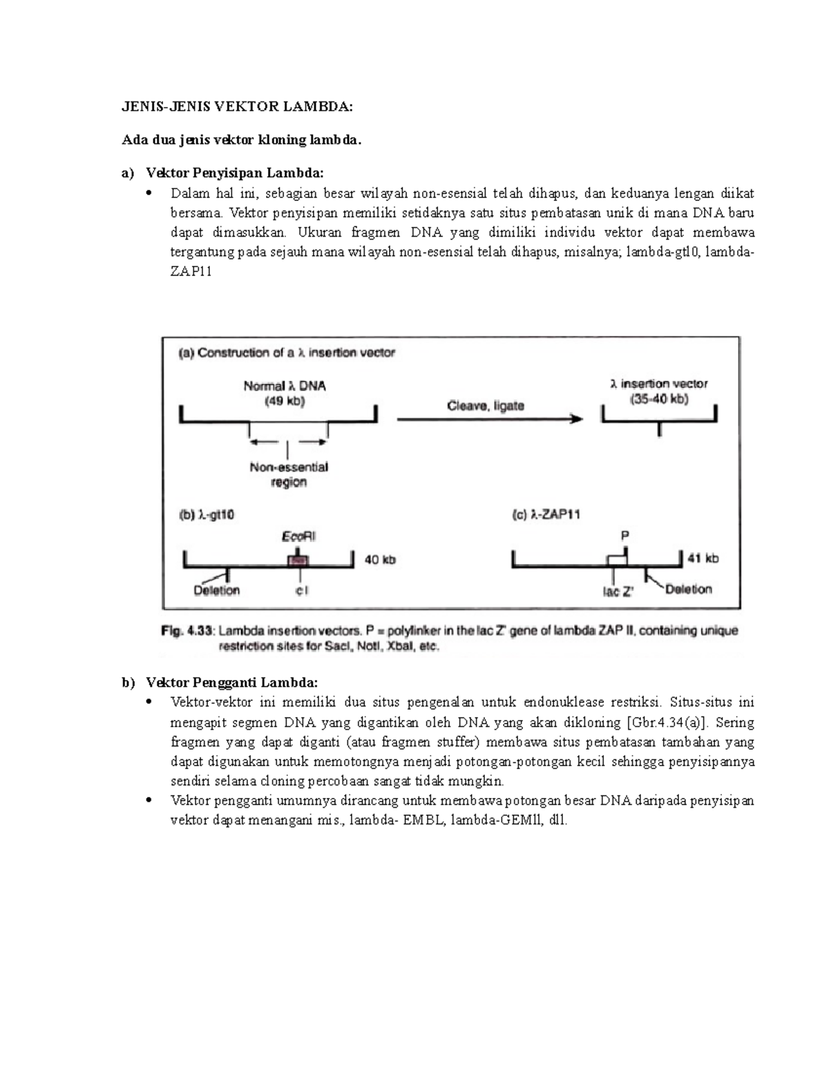 Vektor Berasal Bakteriofag( vektor fag lambda) Jenis- Jenis Vektor Lambda - JENIS-JENIS VEKTOR ...