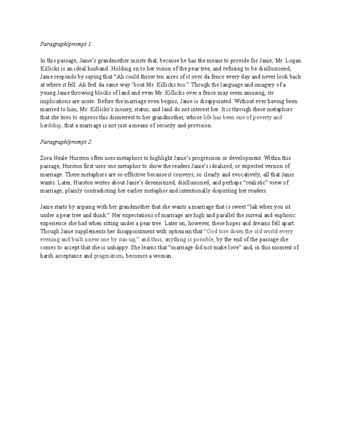 Tewwg 2 - Essay of Theirs Eyes Were Watching God - Paragraph/prompt 1 ...