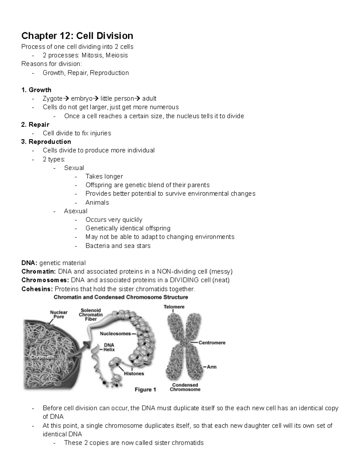 Bio ch 12 notes - Google Docs - Chapter 12: Cell Division Process of ...