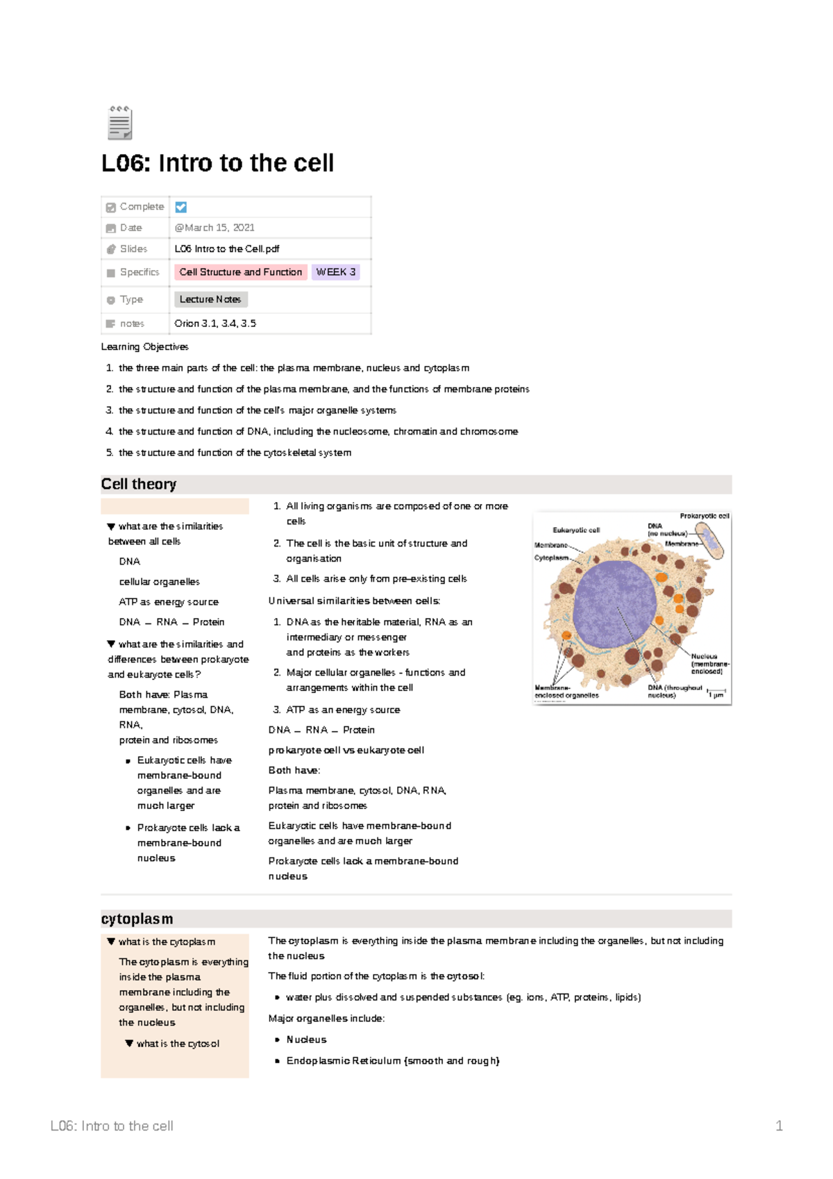 L06 Intro to the cell - Lecture notes 6 - 🗒 L06: Intro to the cell ...