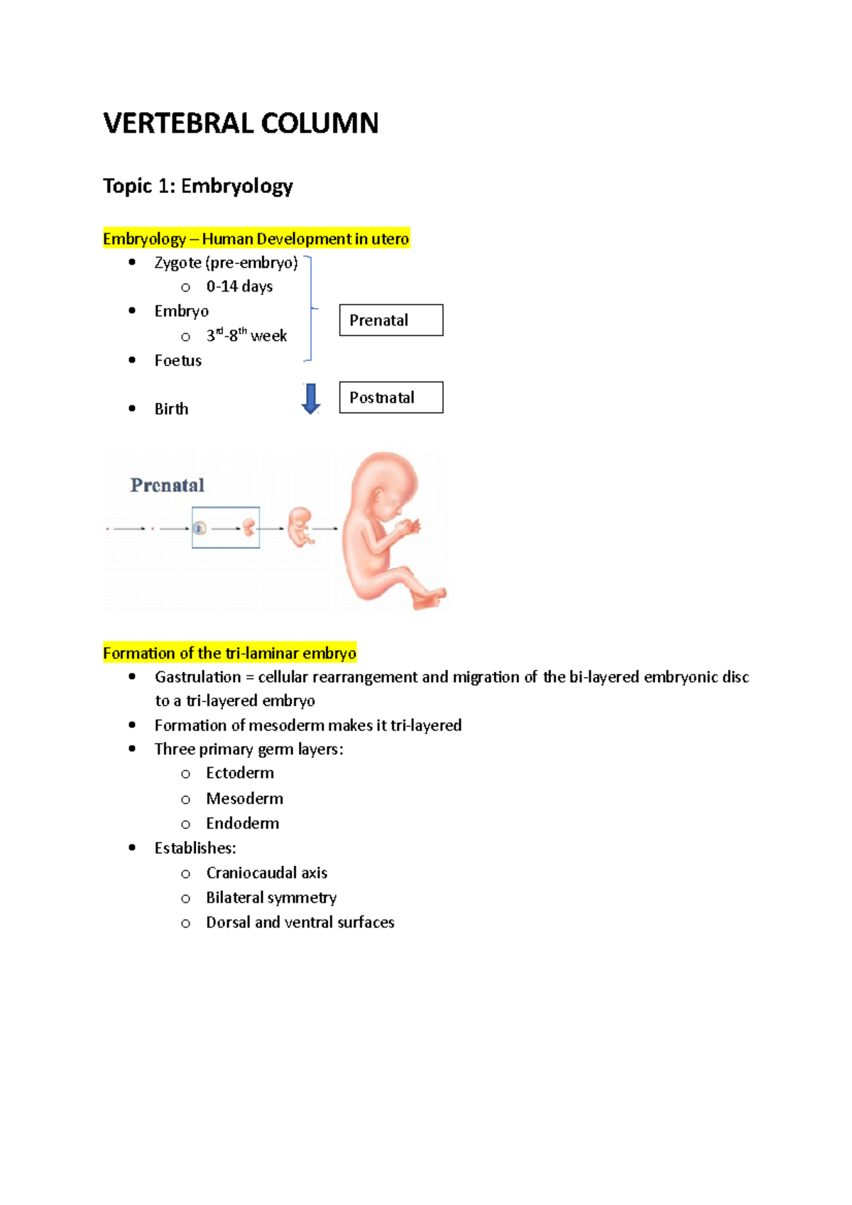 Week 1 - Vertebral Column - VERTEBRAL COLUMN Topic 1: Embryology ...
