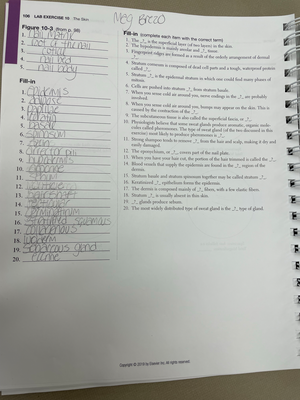 Bio290 v3 wk2 the cell structure lab report - BIO/290 v Lab Report – Cell Structure In science ...