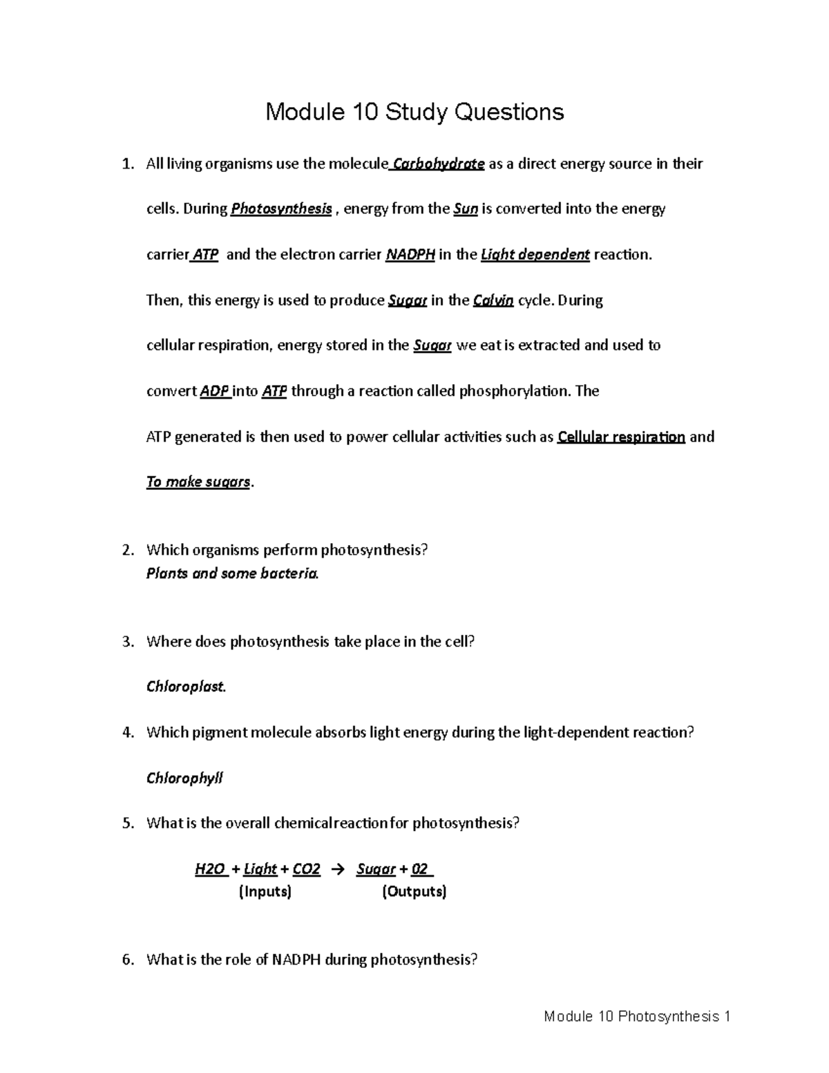 Module 10 Study Questions - Module 10 Study Questions All living ...