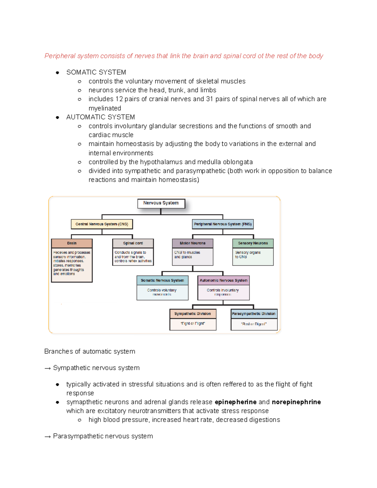 Peripheral system - Studocu