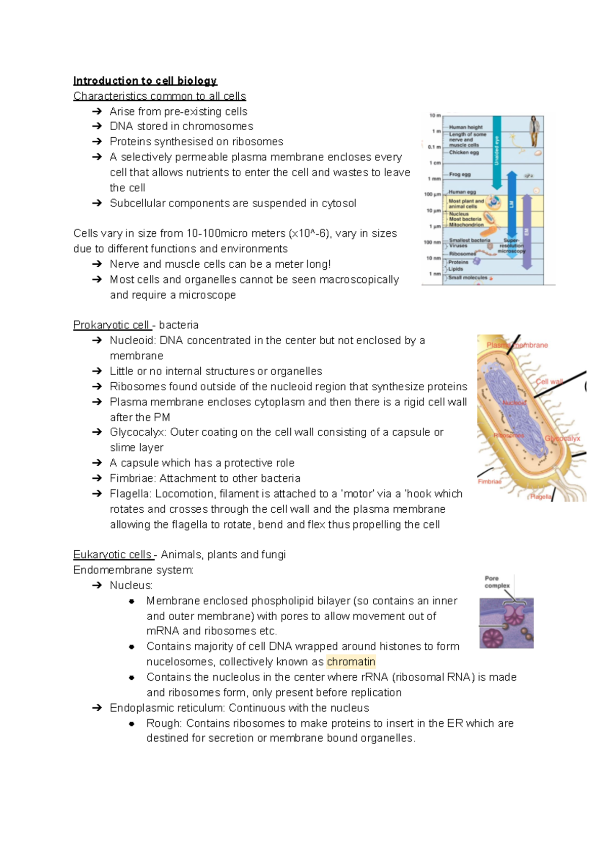 101 - ALL of Biosci 101 notes - Introduction to cell biology ...