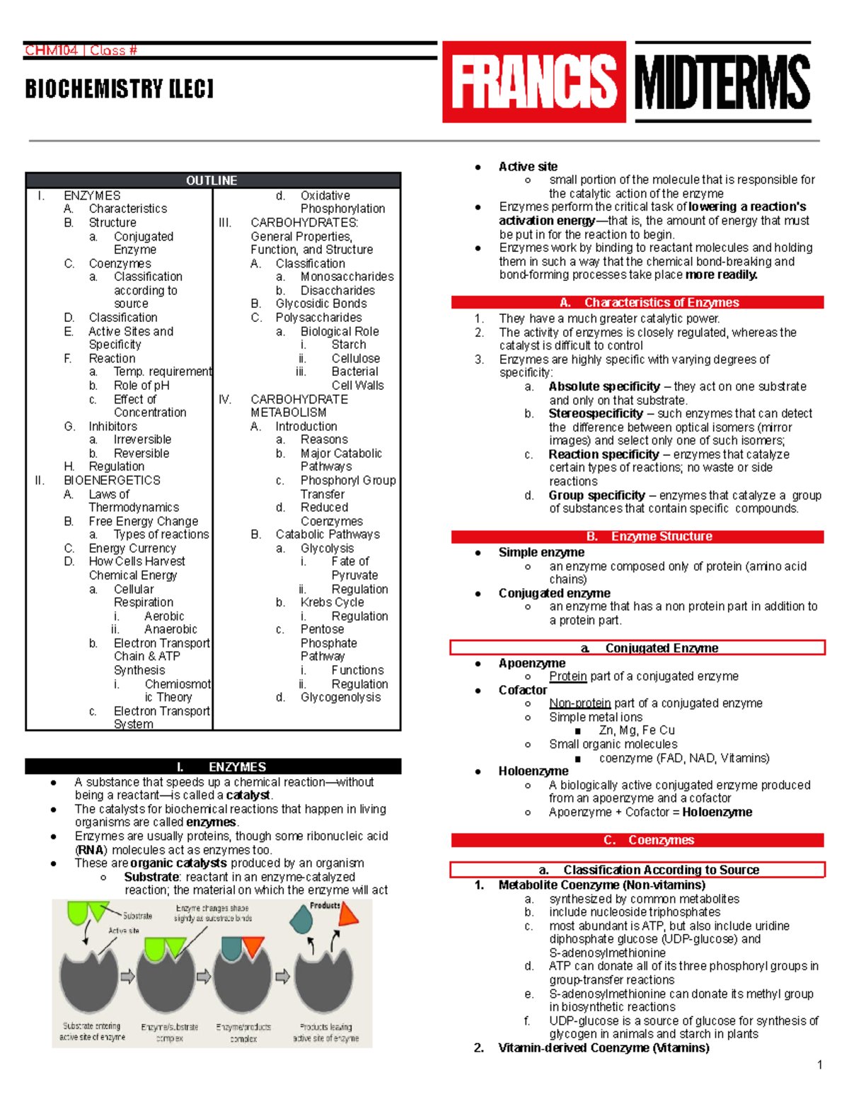 Biochemistry: Enzymes, Bioenergetics, Carbohydrates, Carbohydrate ...