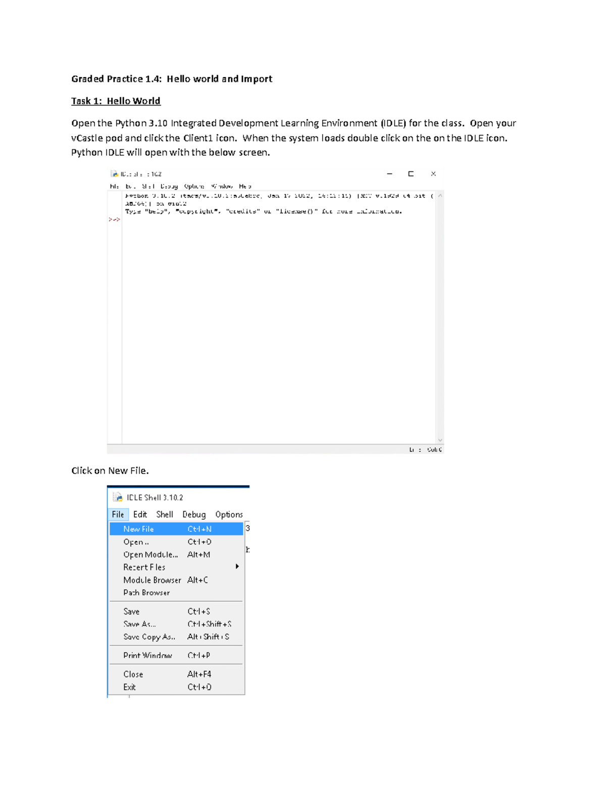 1.4 Guided Practice Hello World and Import - Graded Practice 1: Hello ...