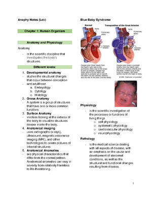 Anaphy (Midterm Notes) - MODULE 1: HUMAN BODY TOPIC OUTLINE 1 ...