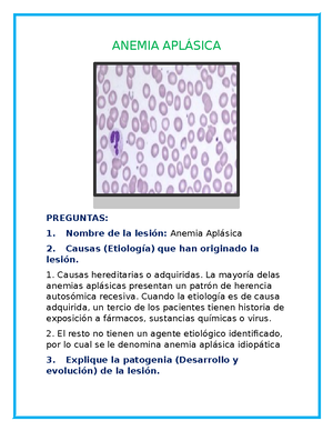 10. Células Lábiles, Células Permanentes Y Células Estables - CÉLULAS ...