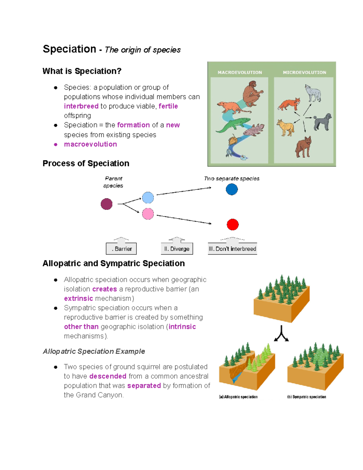 13. Speciation - Rafia Ahmad - Speciation - The origin of species What ...