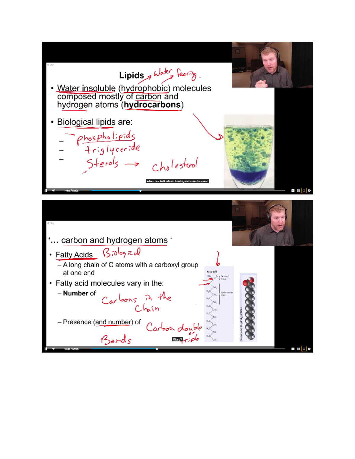 Topic 3 - lecture 1 fall 2021 - BIOL 241 - Studocu