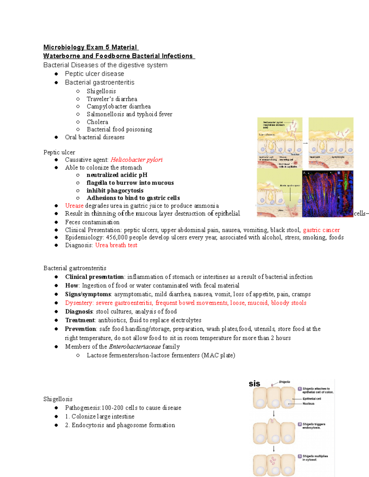 Microbiology Exam 5 - Lab Report - Microbiology Exam 5 Material ...