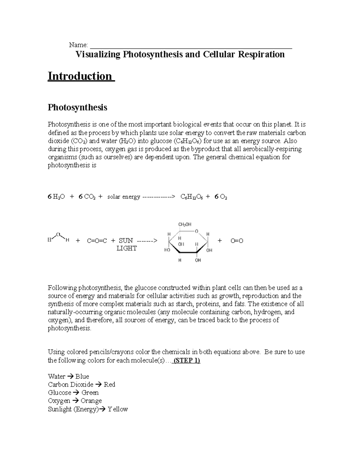 Visualizing photosynthesis cel - Name