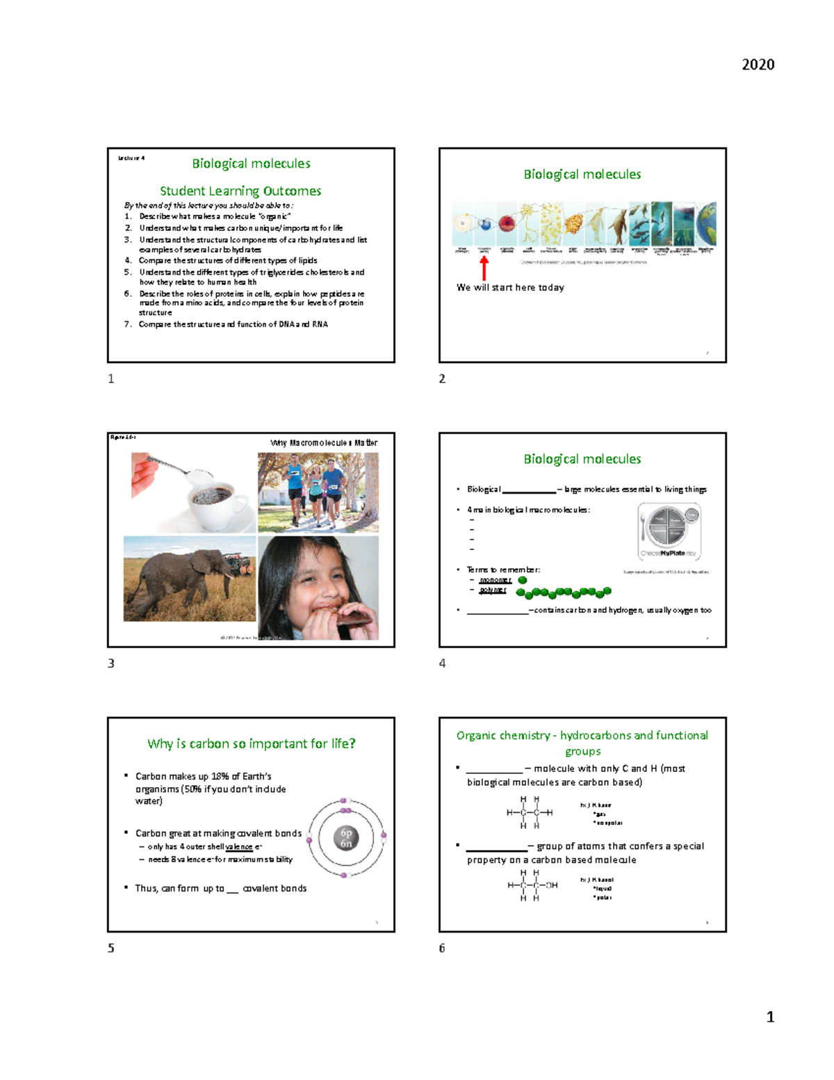 Biol 100 F'20 Lecture 4 (Canvas) 6 slides per - Student Learning ...