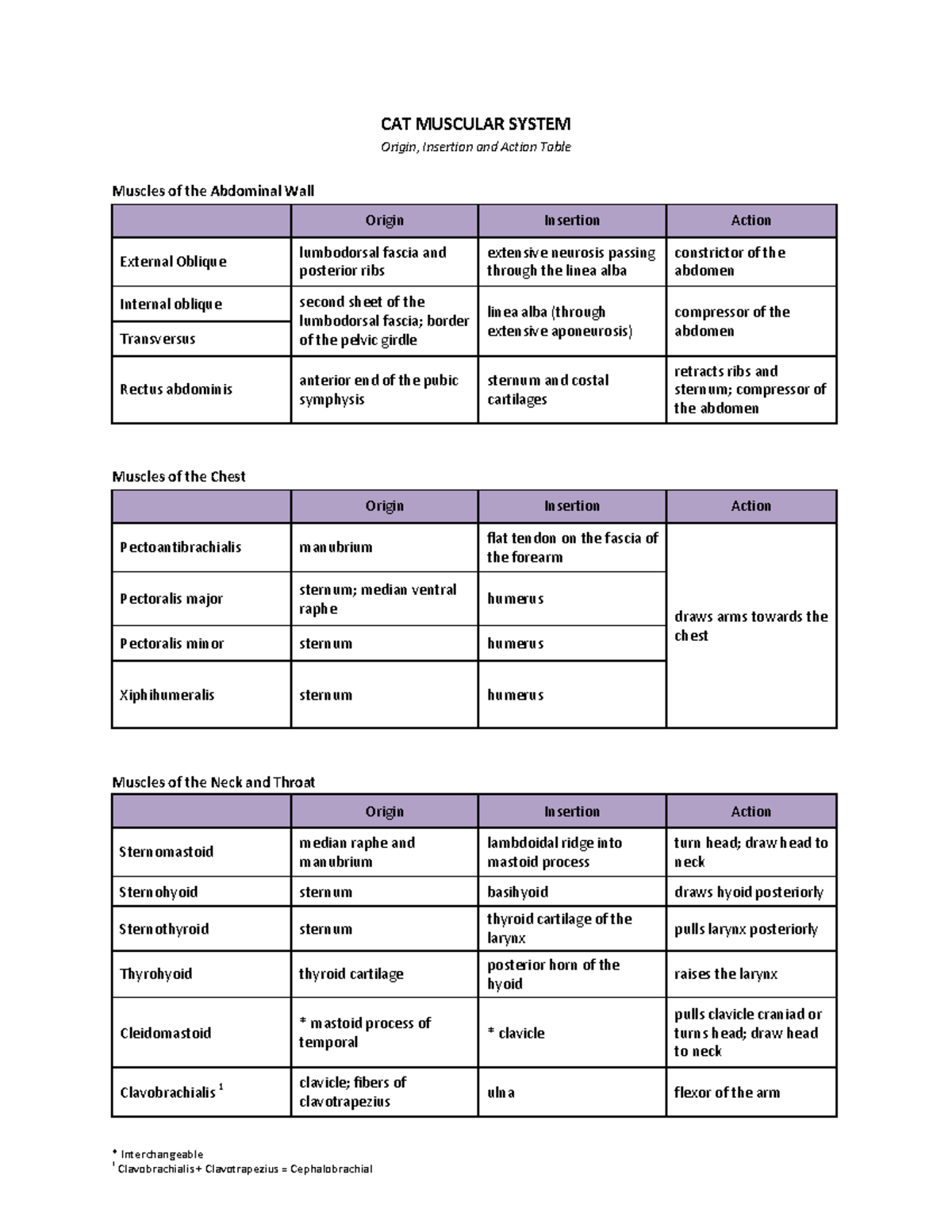 CAT Muscle - General Zoology - Interchangeable 1 Clavobrachialis ...