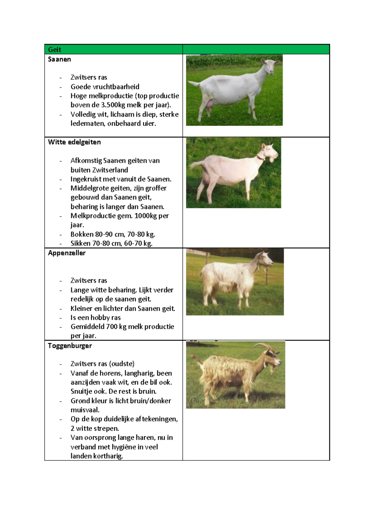 Geiten rassen flashcards - Geit Saanen Zwitsers ras Goede ...