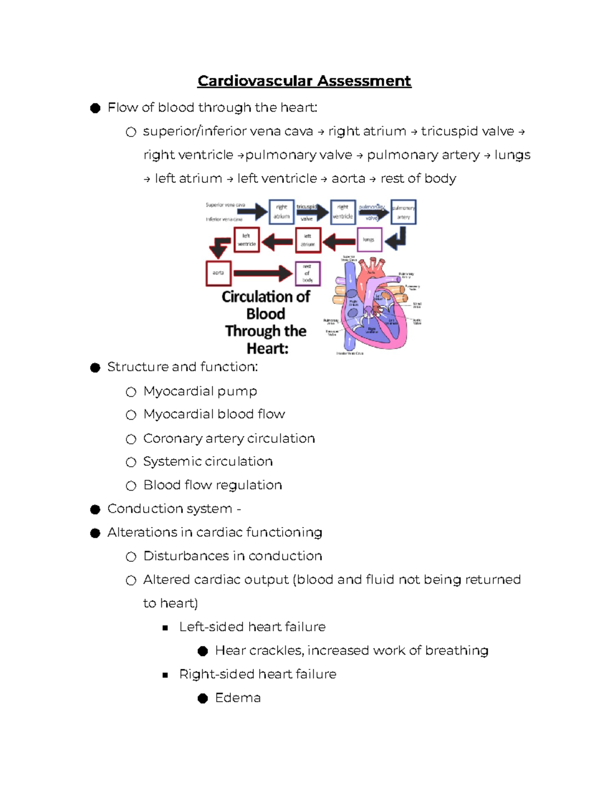 Cardiovascular Assessment - Studocu