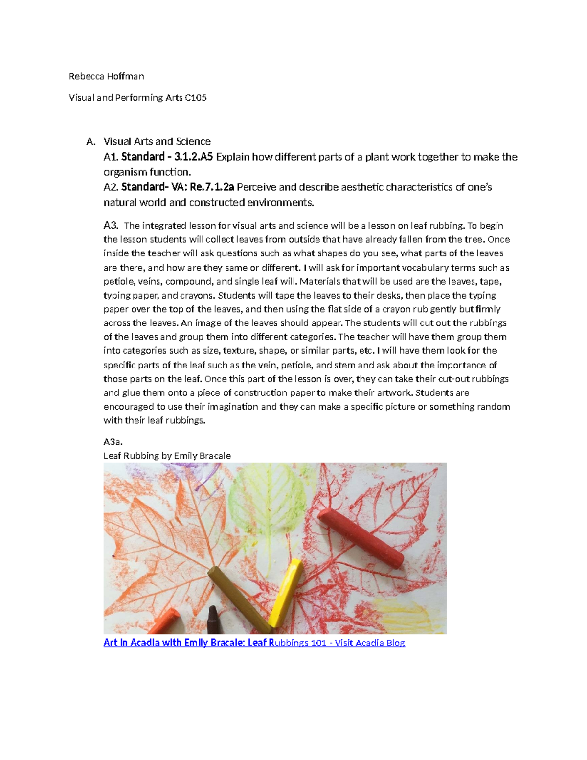 C105 Visual arts - task - Rebecca Hoffman Visual and Performing Arts C ...