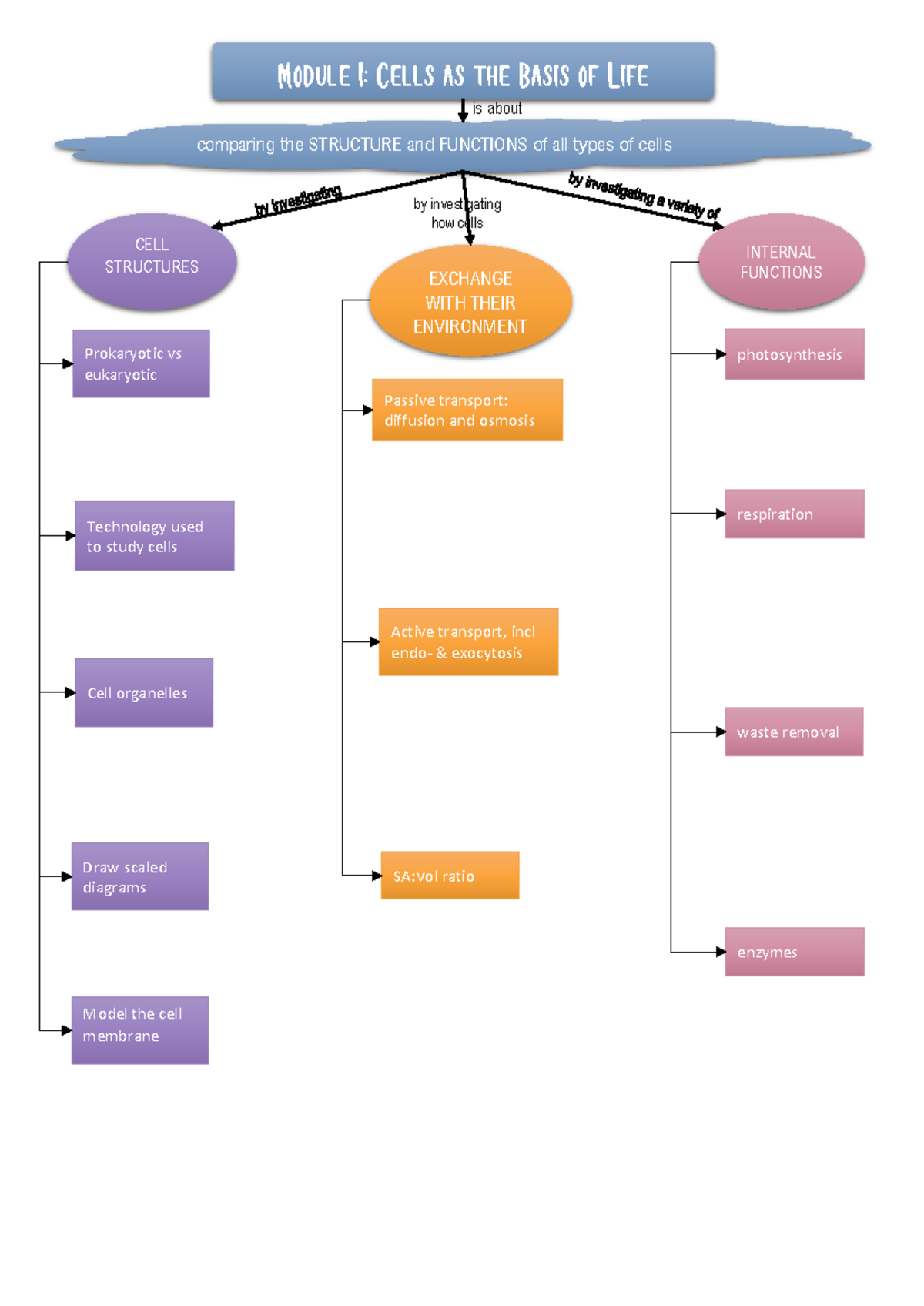 Learning Map Module 1 - is about Module 1: Cells as the Basis of Life ...