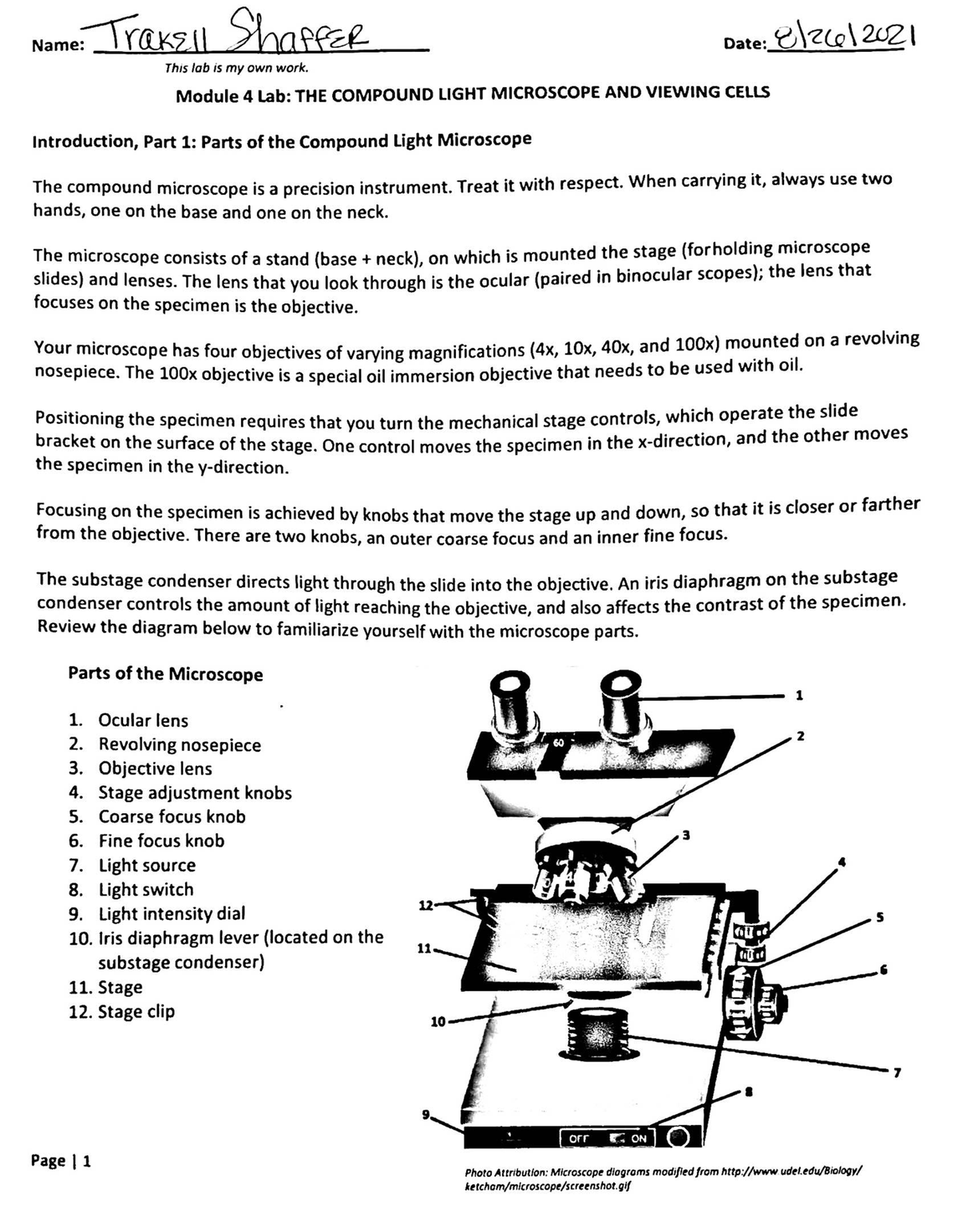 Post Lab Microscopy C worksheet - BIOL 253 - Studocu