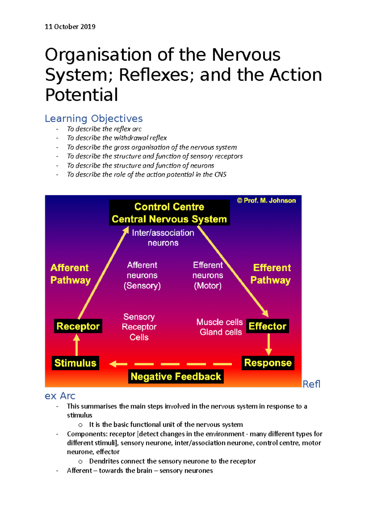 Organisation of the Nervous System - Organisation of the Nervous System ...