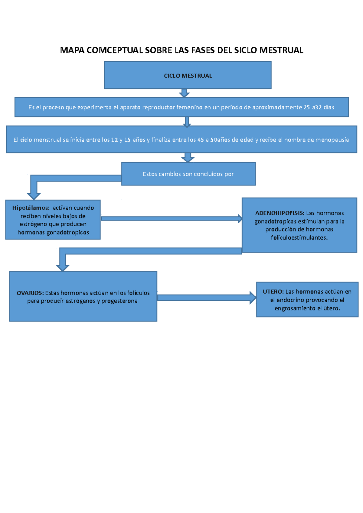 MAPA Comceptual Sobre LAS Fases DEL Siclo Mestrual - MAPA COMCEPTUAL ...