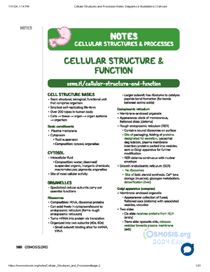 Skin Handout - Freebie - Skin Handout Skin layers Epidermis- no nerves ...