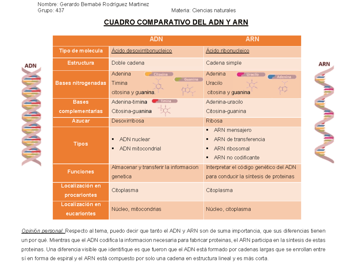 Cuadro Comparativo del ADN (acido desoxirribonucleico) y ARN (Acido ribonucleico) - Nombre ...