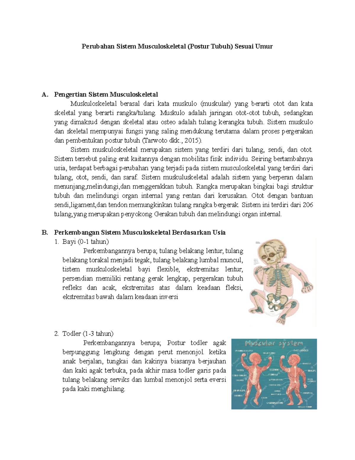 Perubahan Sistem Musculoskeletal - Pengertian Sistem Musculoskeletal ...
