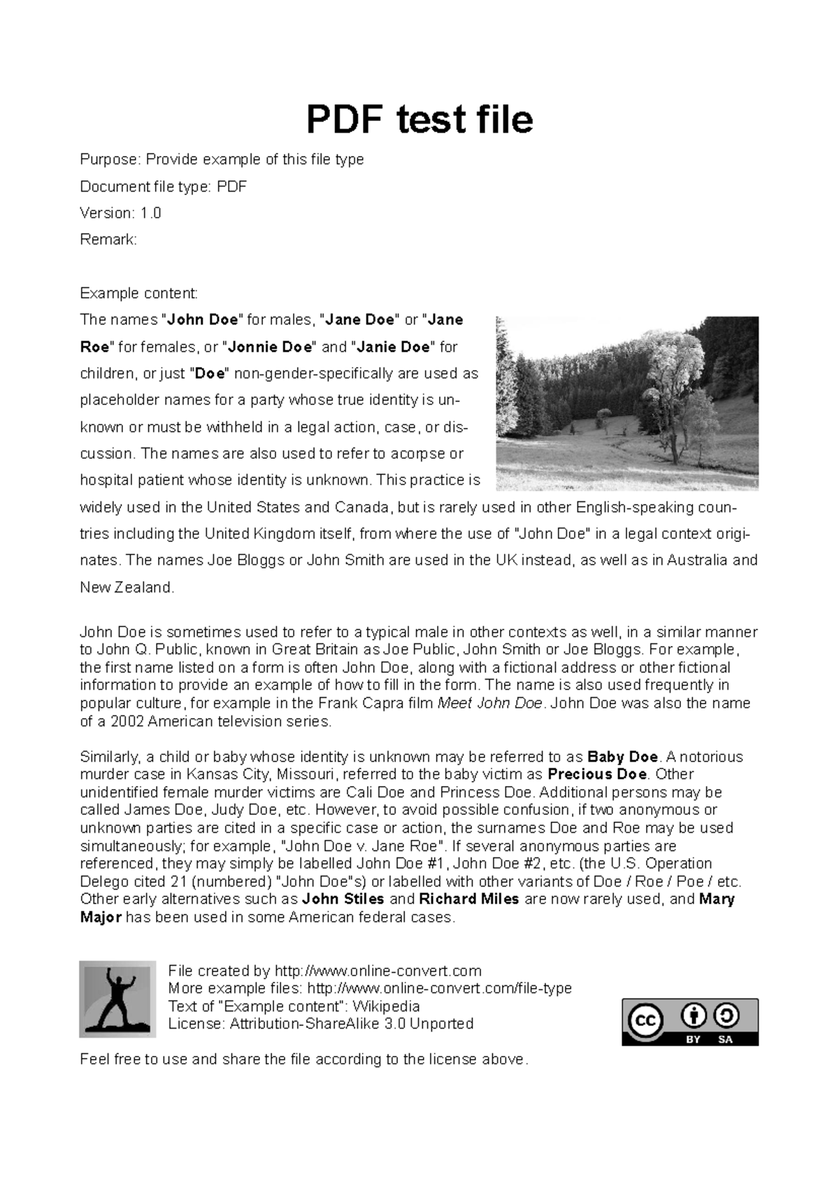 Example - Summary Statutory Construction - PDF test file Purpose ...