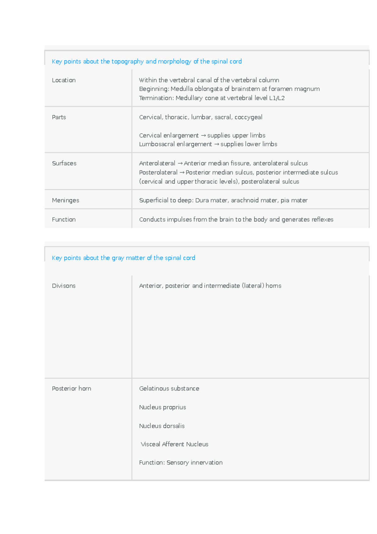 Spinal cord - neuro - Key points about the topography and morphology of ...