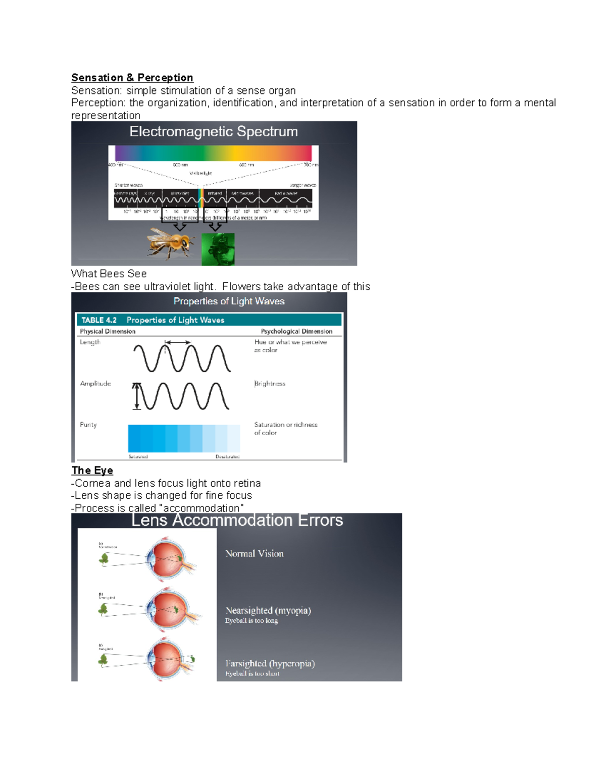 Chapter 4 Perception - Sensation & Perception Sensation: simple stimulation of a sense organ ...