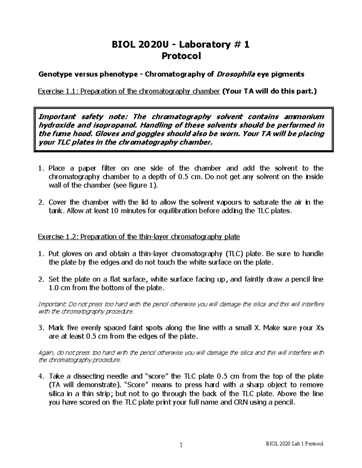 Lab 1 Protocol 2024 - BIOL 2020U - Laboratory # 1 Protocol Genotype ...