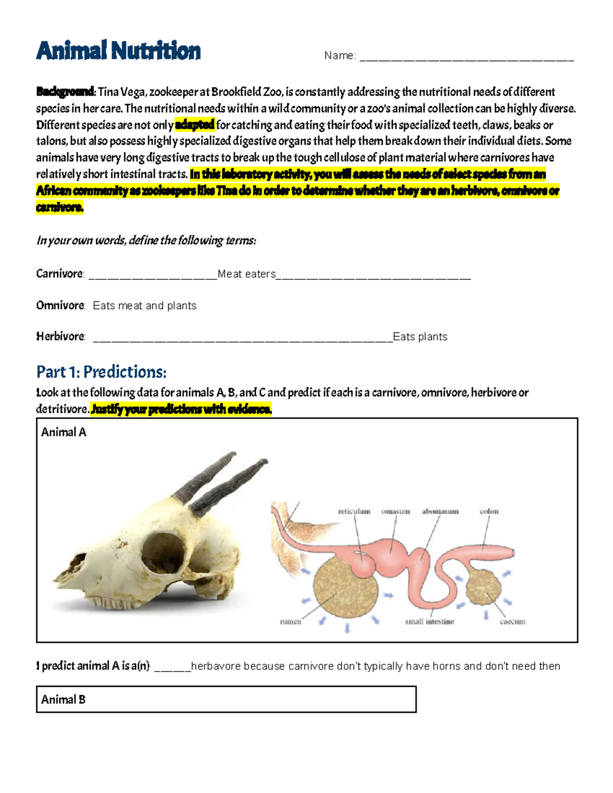 Copy of Copy of Animal Nutrition - Animal Nutrition Name