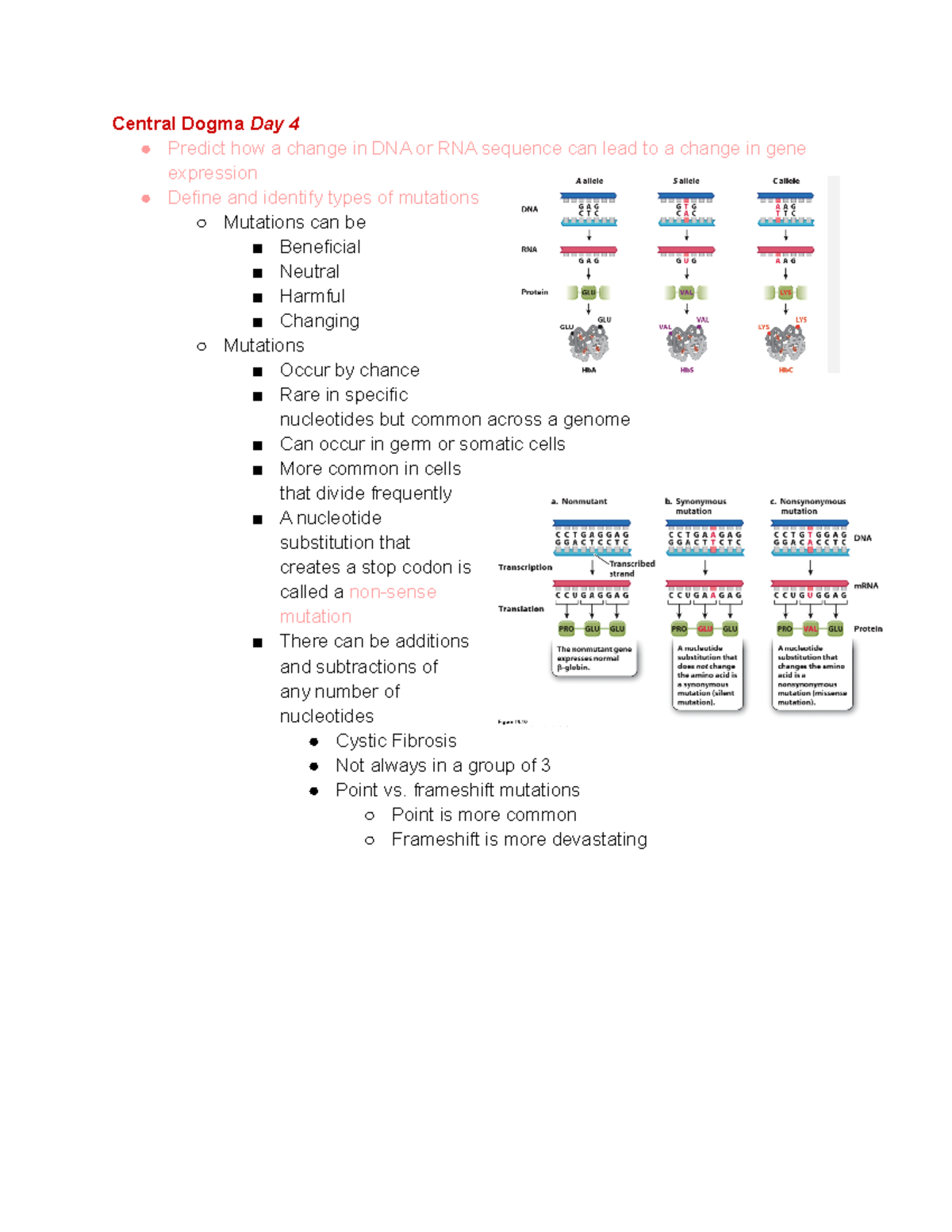 3 2 22 Central Dogma Day 4 - Central Dogma Day 4 Predict how a change ...