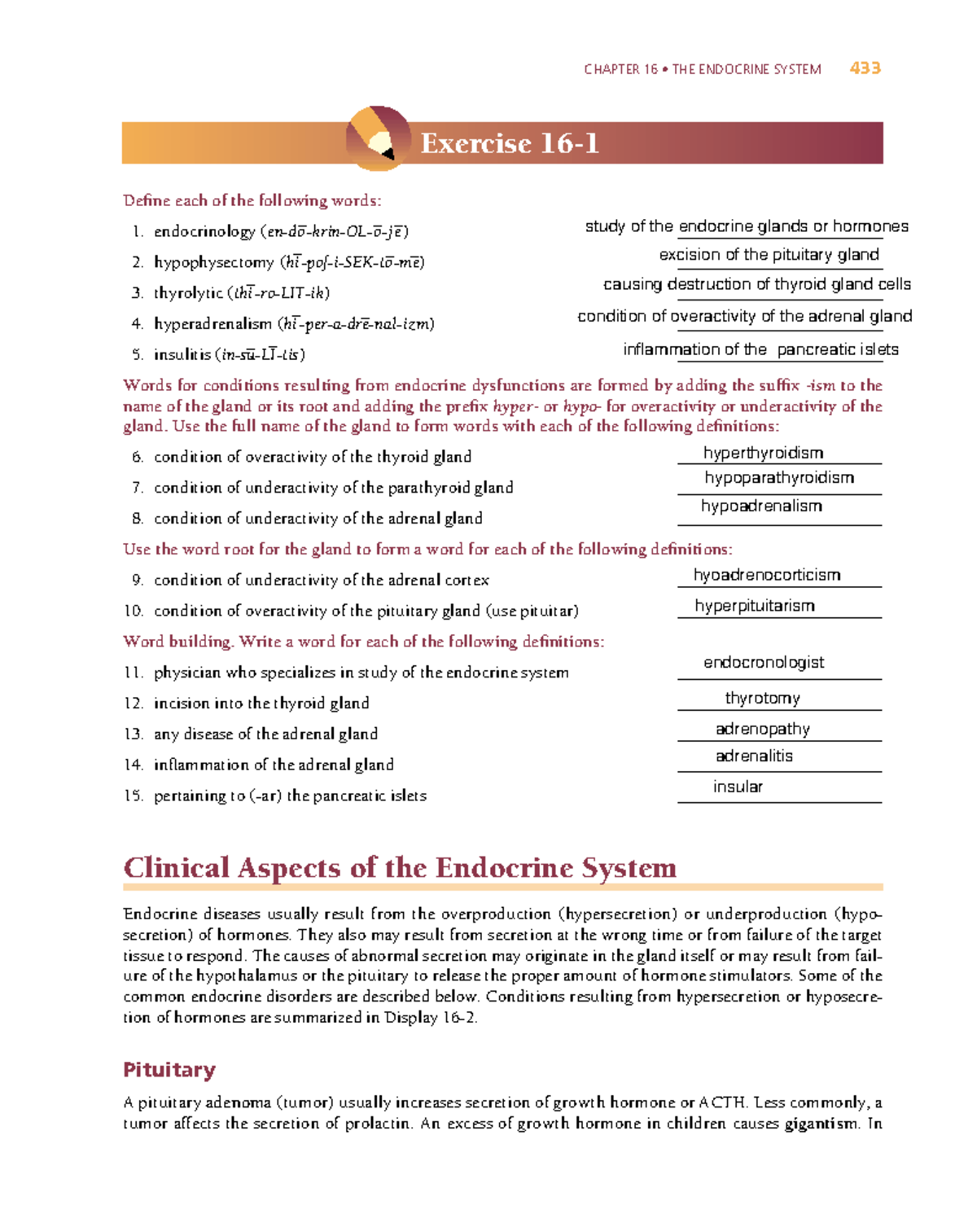 Tarea Chapter 16 - Answer medical terminology - CHAPTER 16 • THE ...