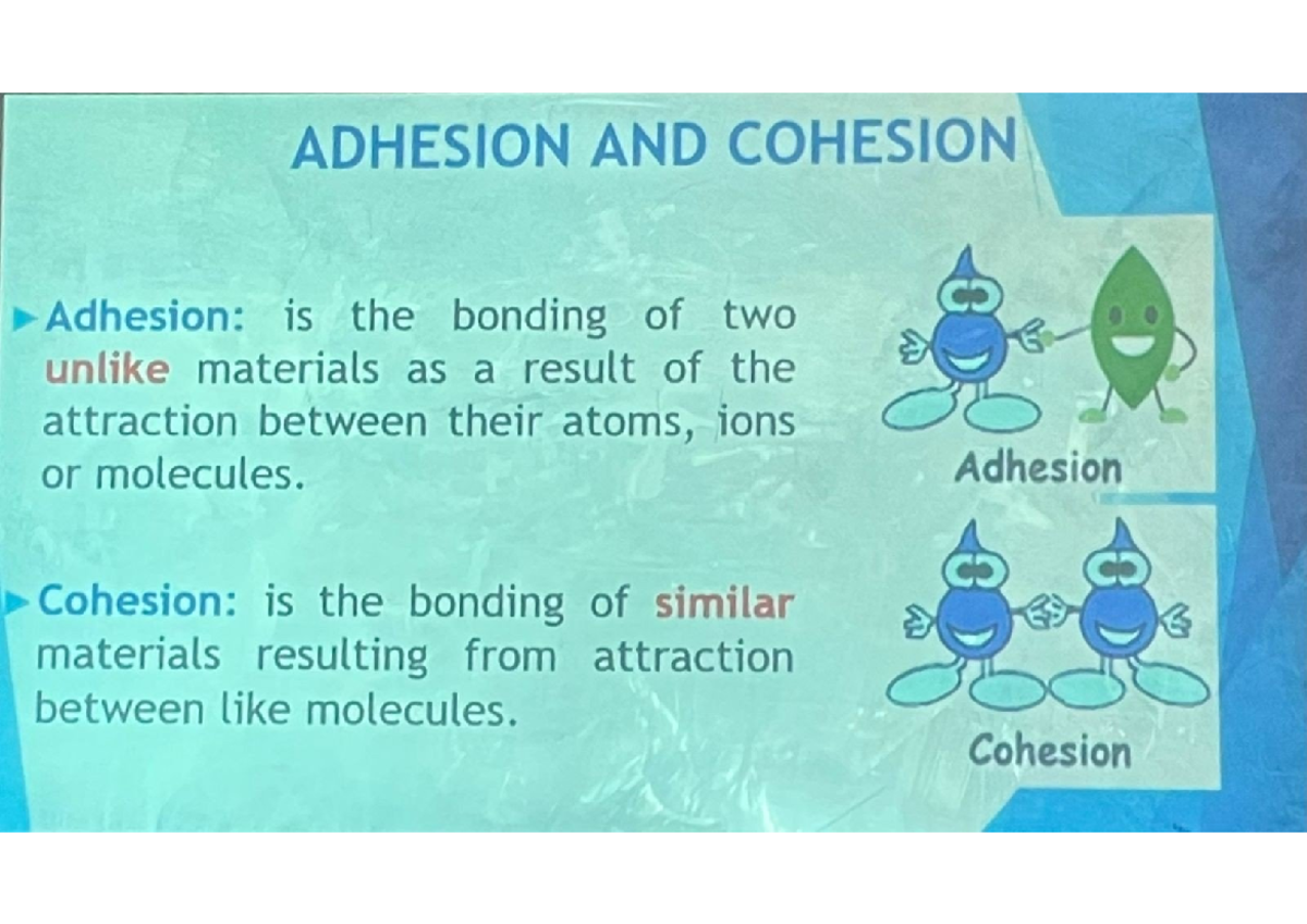 Adhesion and Cohesion - Dental Materials I - Studocu