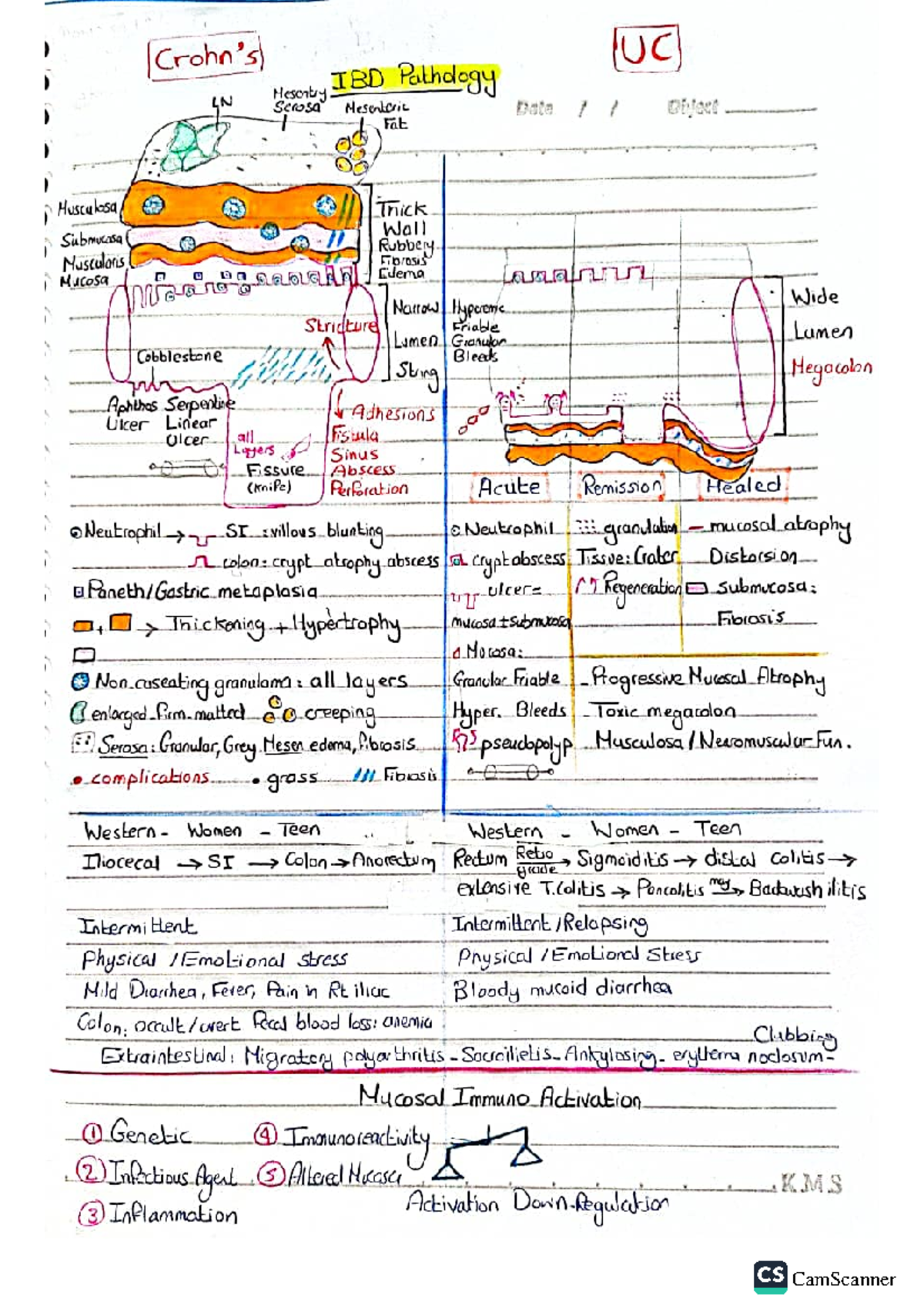 IBD Patho - Pathology - CamScanner CamScanner - Studocu
