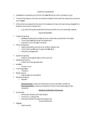 Endocrine System - Answer Key - Ch. 16 – The Endocrine System – ANSWER ...