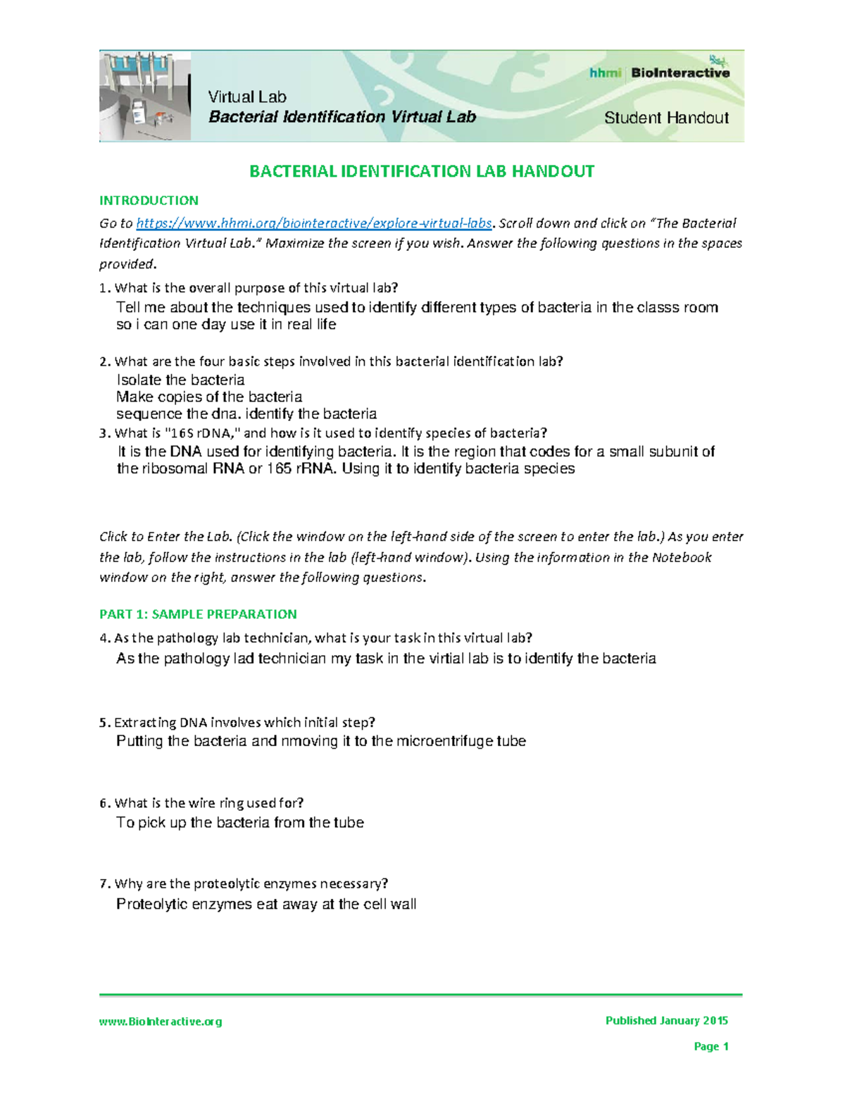Bacterial-Identification-Lab-Worksheet-Student - BioInteractive ...
