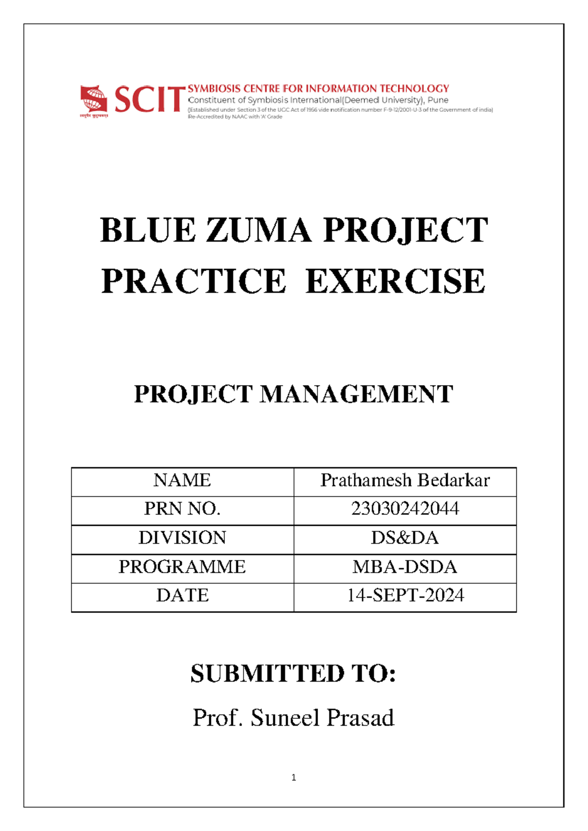 Project Report Blue Zumba prathamesh - BLUE ZUMA PROJECT PRACTICE ...