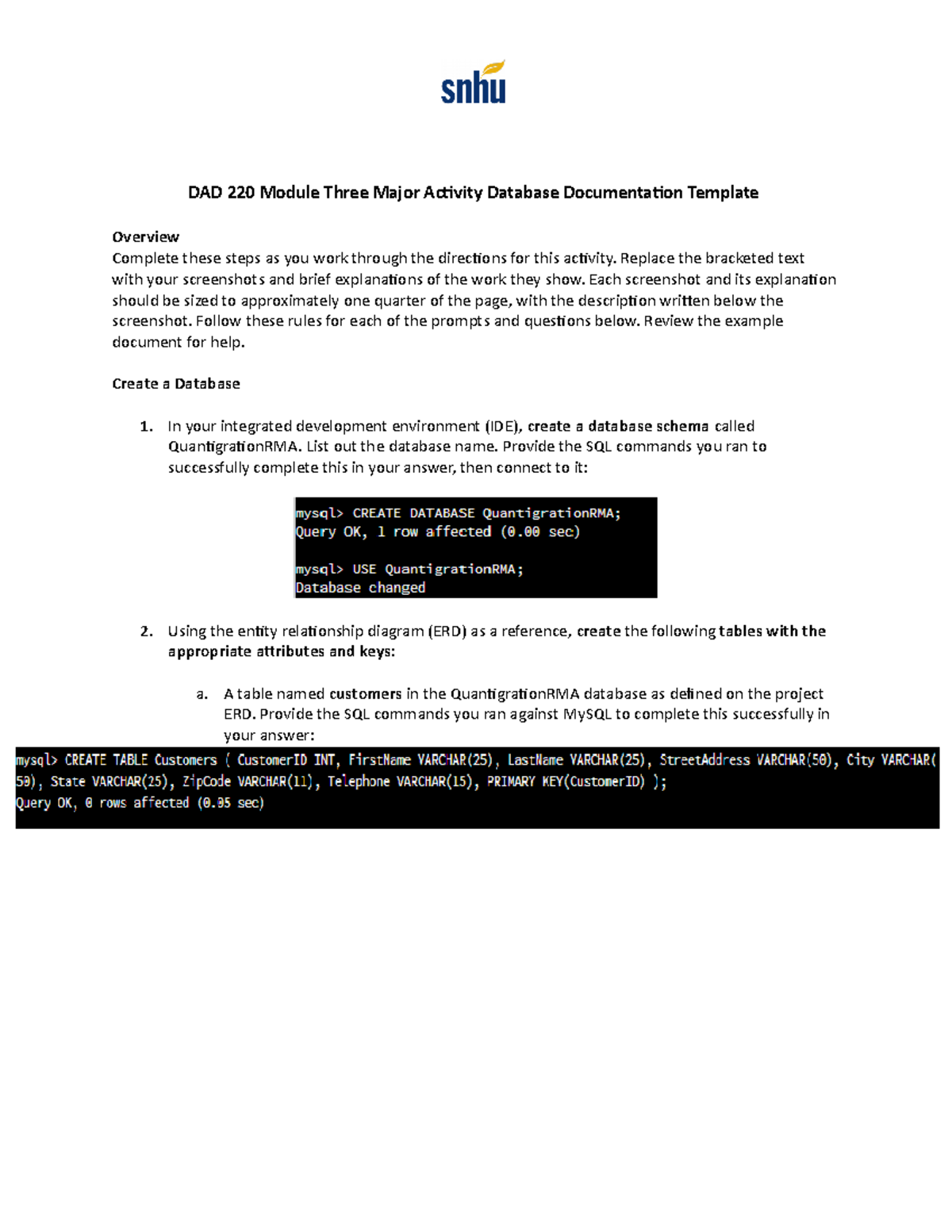 DAD 220 Module Three Major Activity Database Documentation Template - Replace the bracketed text ...