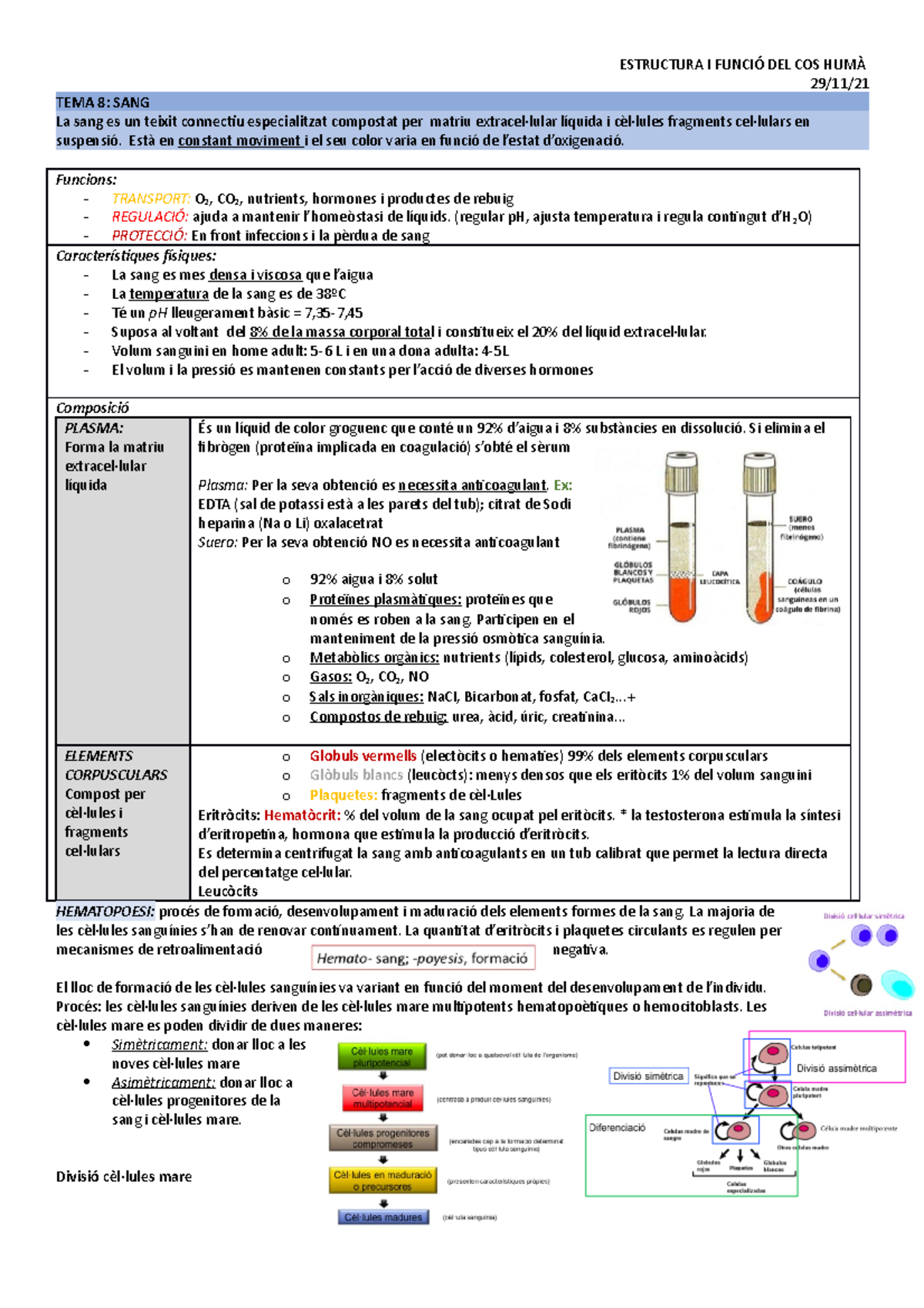 SANG: teixit connectiu especialitzat - ESTRUCTURA I FUNCIÓ DEL COS HUMÀ ...