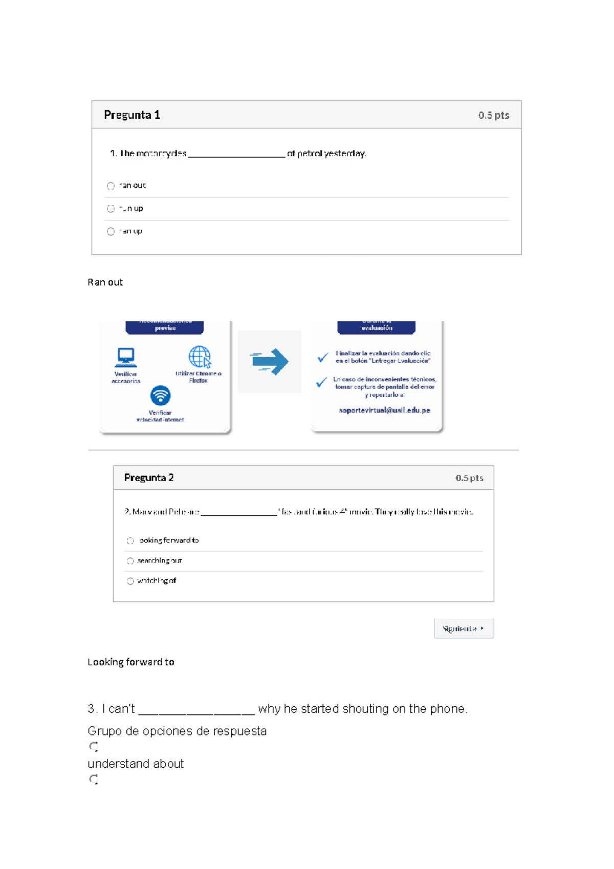 Final PET Ejemplo - .......... - Ran out Looking forward to I can’t _________________ why he ...