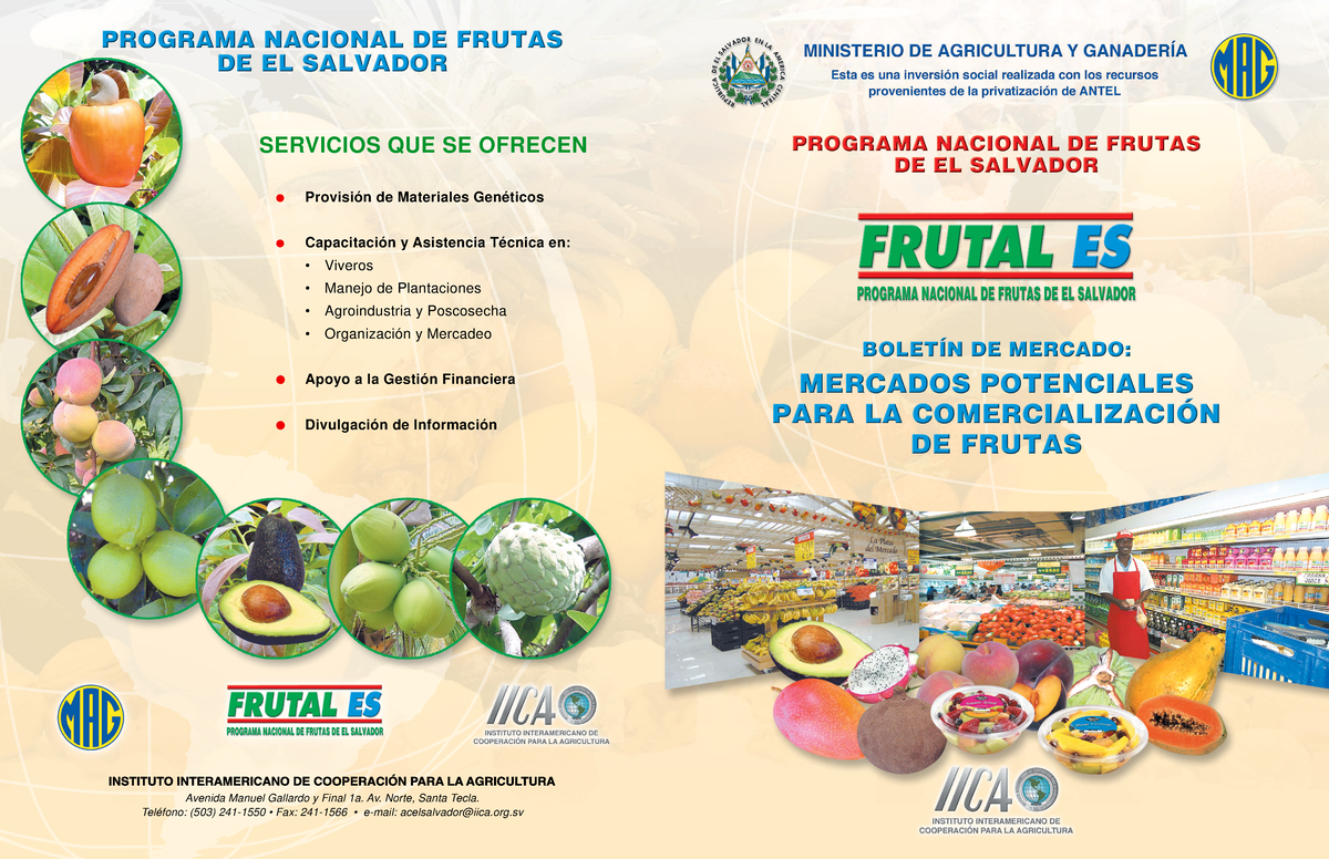 Potencial de las frutas tropicales en america - Avenida Manuel Gallardo ...