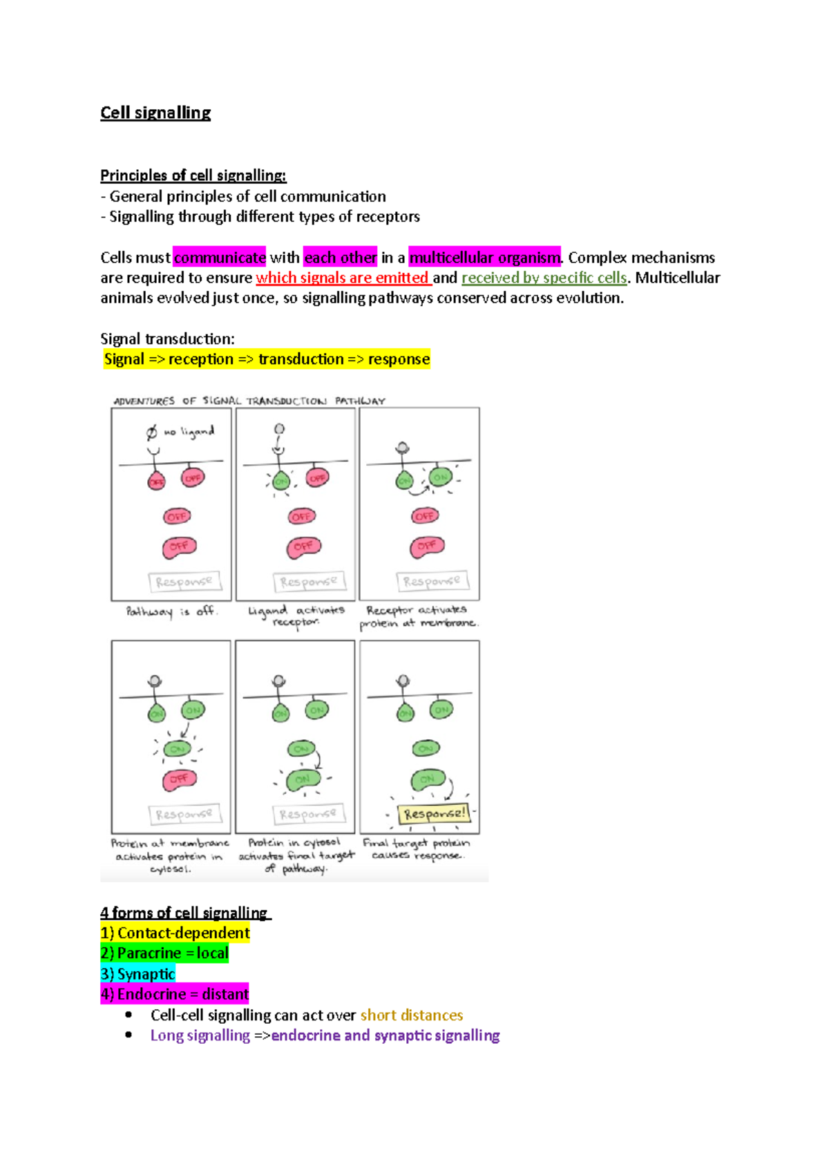 L6-Cell signalling - Cell signaling - Cell signalling Principles of ...