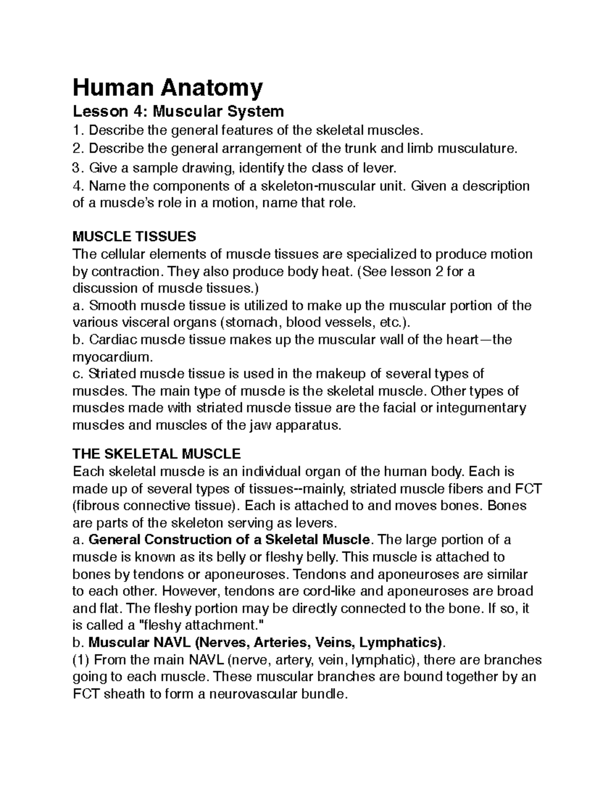 Anat 4 - muscular system anatomy class notes - Human Anatomy Lesson 4 ...