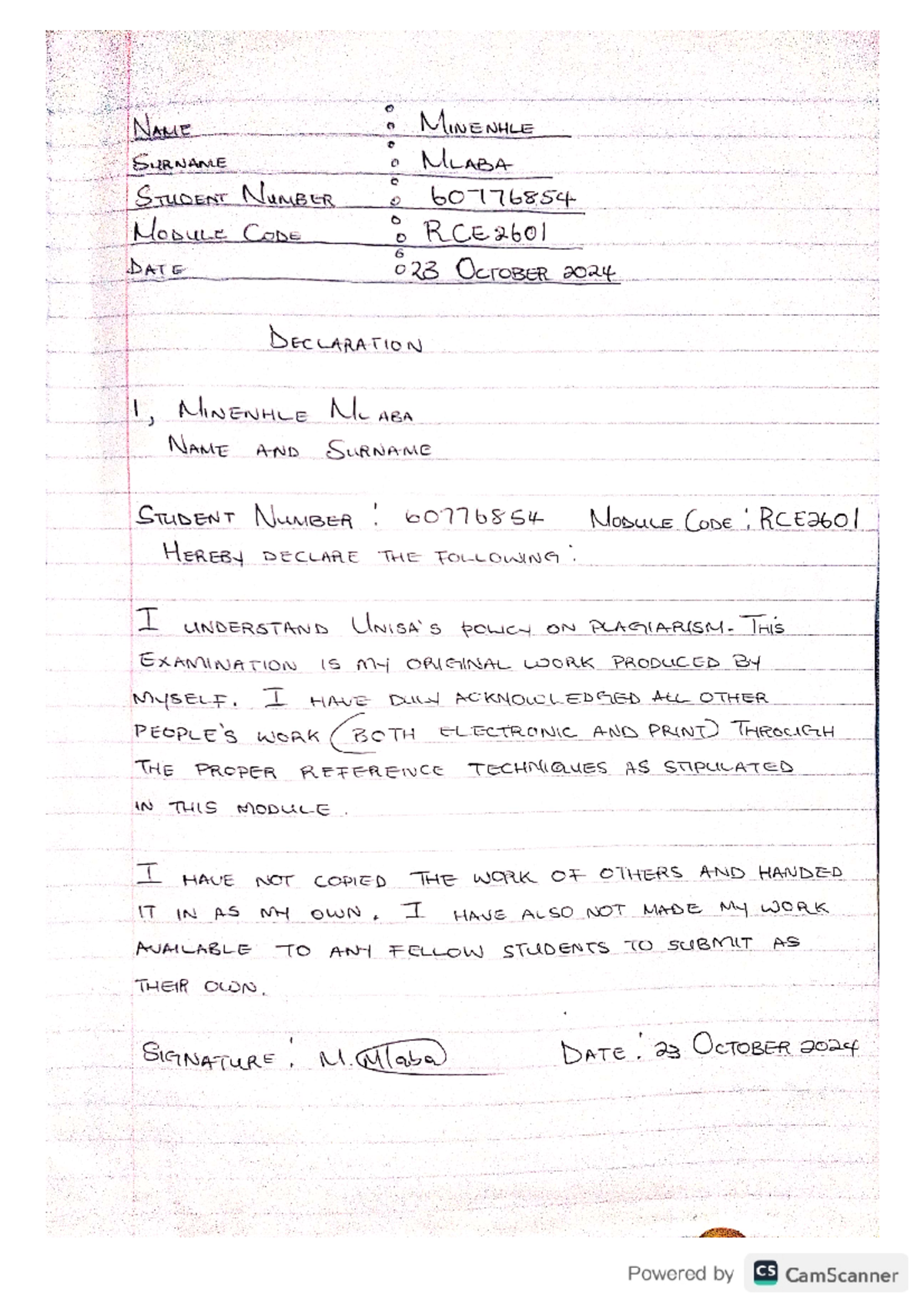 RCE2601 Examination - This will help practicing exams and assignment ...