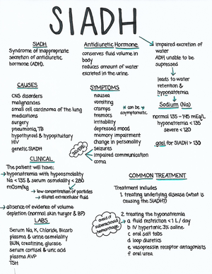 Atelectasis Pneumonia Lung CA Pneumothorax - Respiratory Deficits ...